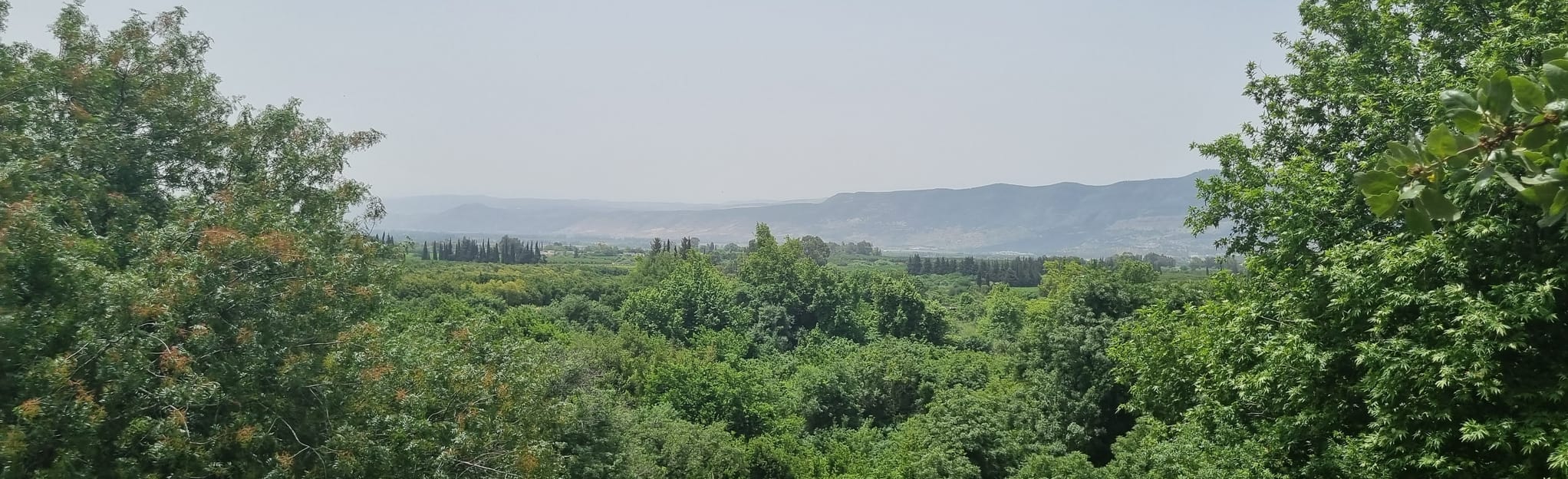 Tel Dan Atlantic Pistachio Loop: 4 Reviews, Map - Northern District ...