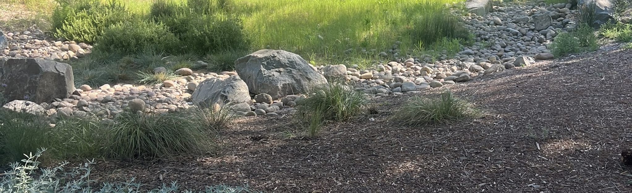 San Diego River Trail via Town Center and Mast Parks, California - 62 ...