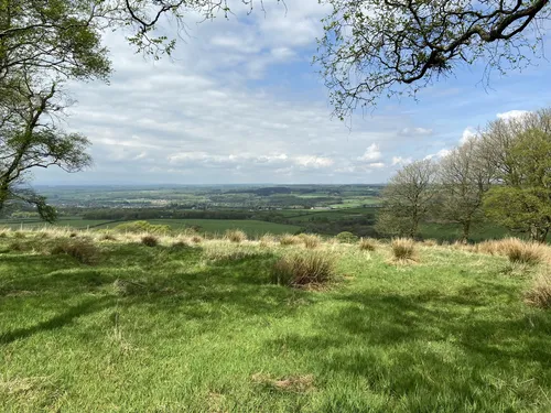 10 Best Trails, Walks, and Paths in East Ayrshire | AllTrails