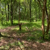 Harlestone Firs and Heath, Northamptonshire, England - 95 Reviews, Map ...