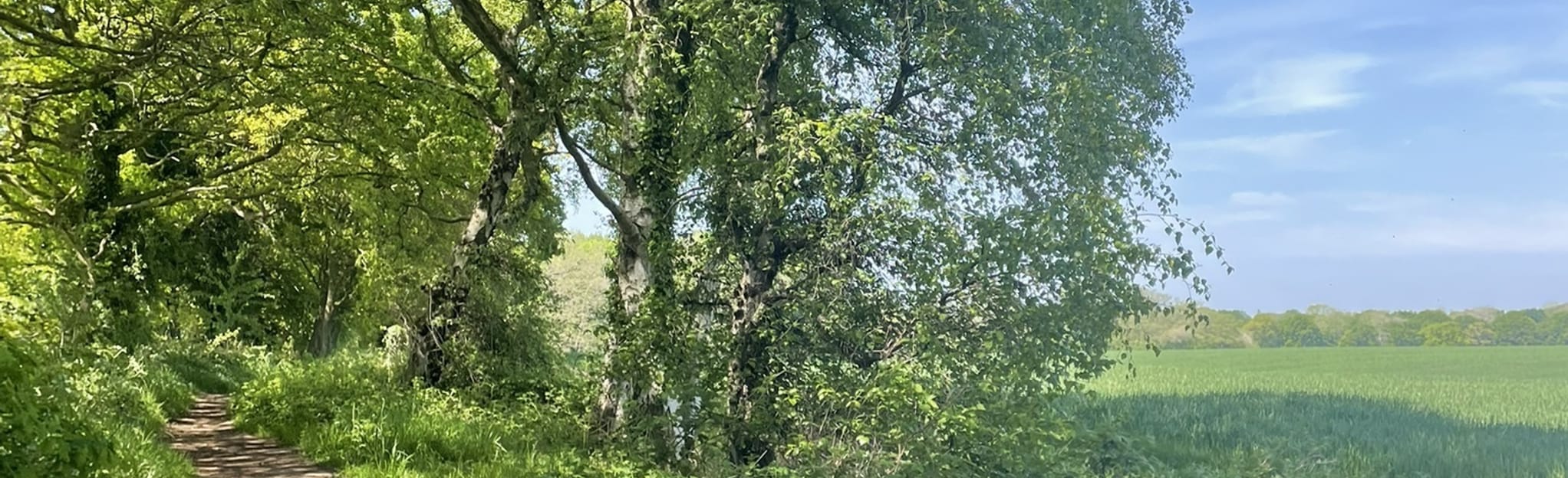 Peover Eye Circular: 63 Reviews, Map - Cheshire, England | AllTrails