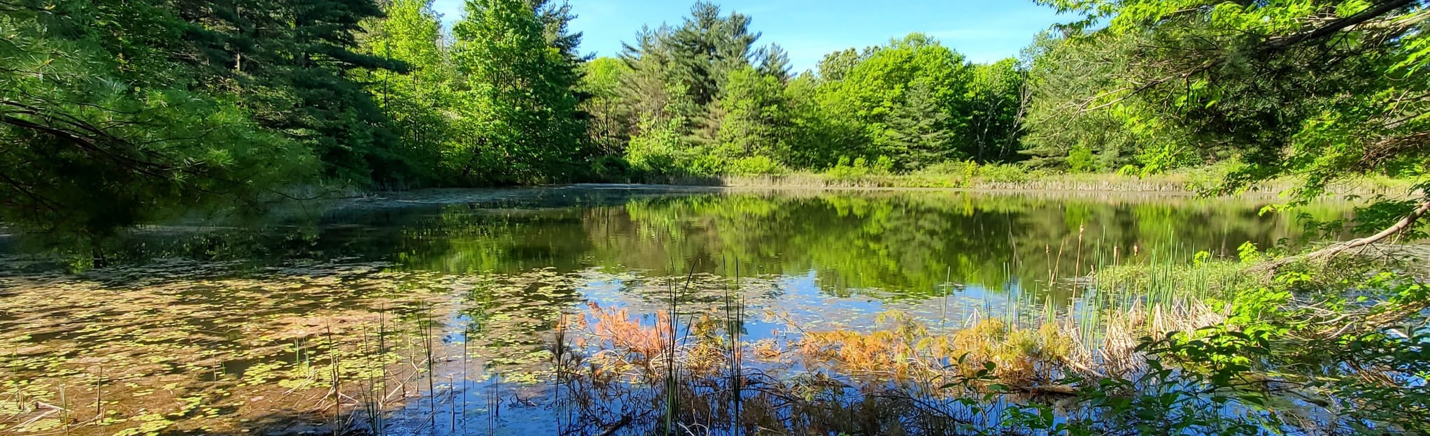 Paw Paw Trail: 29 Reviews, Map - Ohio | AllTrails