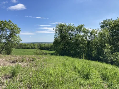 Best Hikes and Trails in Camillus Forest Unique Area | AllTrails