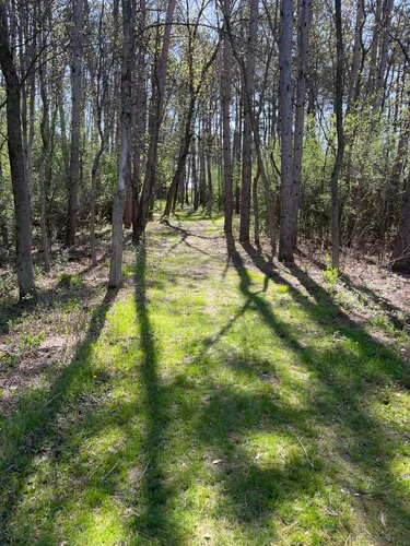 Best Forest Trails in Jay C Hormel Nature Center | AllTrails
