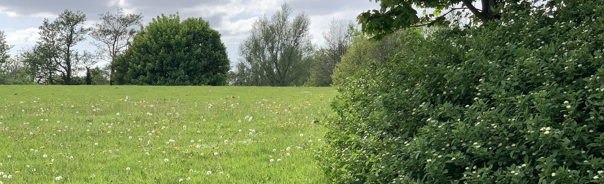 River Liffey Loop: 30 Reviews, Map - County Kildare, Ireland | AllTrails