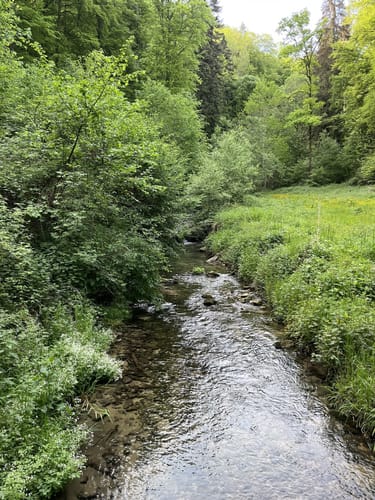 10 Best Trails and Hikes in Luxembourg | AllTrails