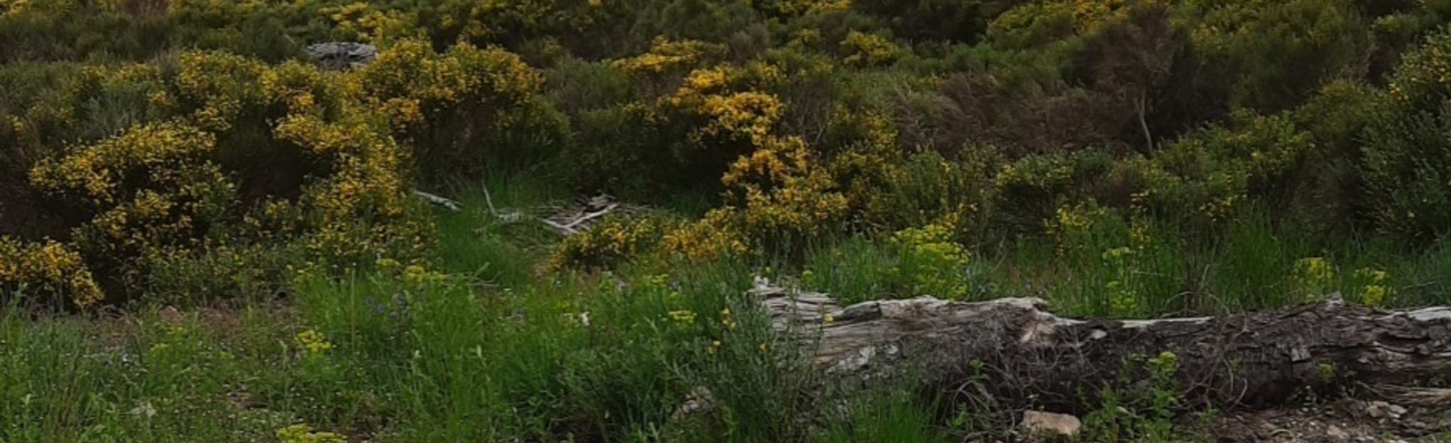 Rocher de Saint-Guiral vanaf de Col de l'Homme Mort: 6 foto's - Gard ...