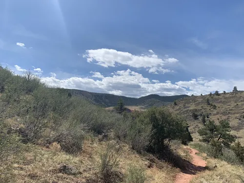 Best Wild Flowers Trails in Hall Ranch Open Space | AllTrails