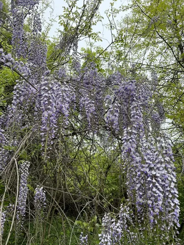 Best Hikes and Trails in Deep Meadow Park | AllTrails