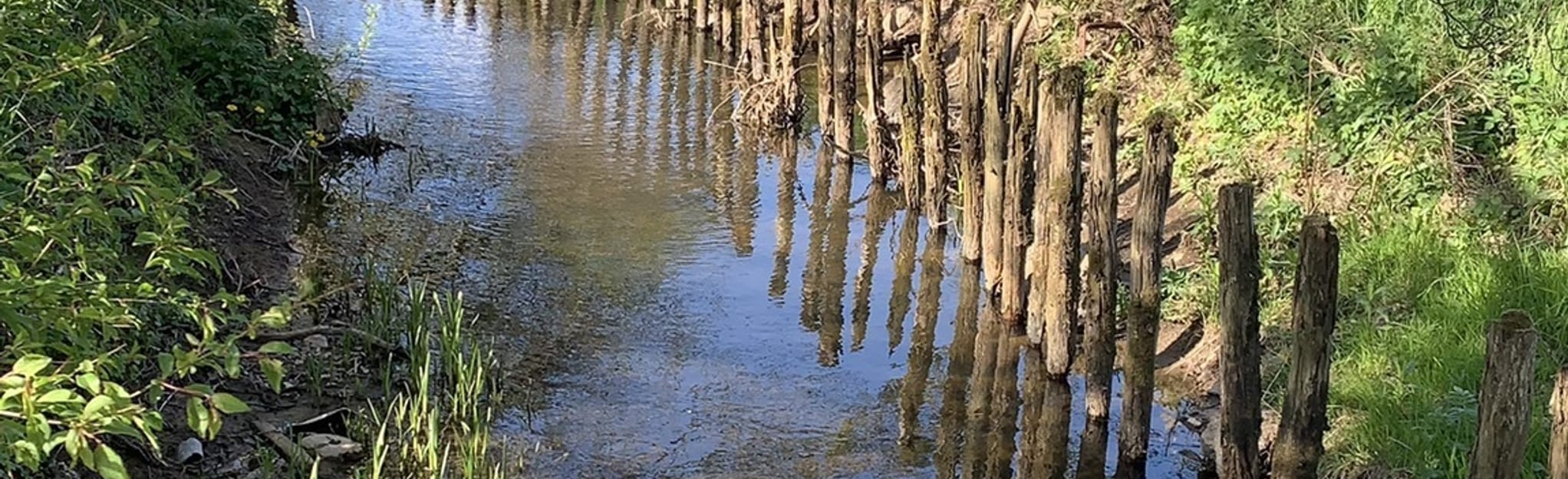 Gravens - Føniksborg Skov - Vesterskov: 5 Reviews, Map - Region of ...