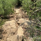 Longhorn Loop, Texas - 65 Reviews, Map | AllTrails