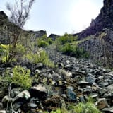 Umtanum Creek Canyon Trail, Washington - 133 Reviews, Map | AllTrails