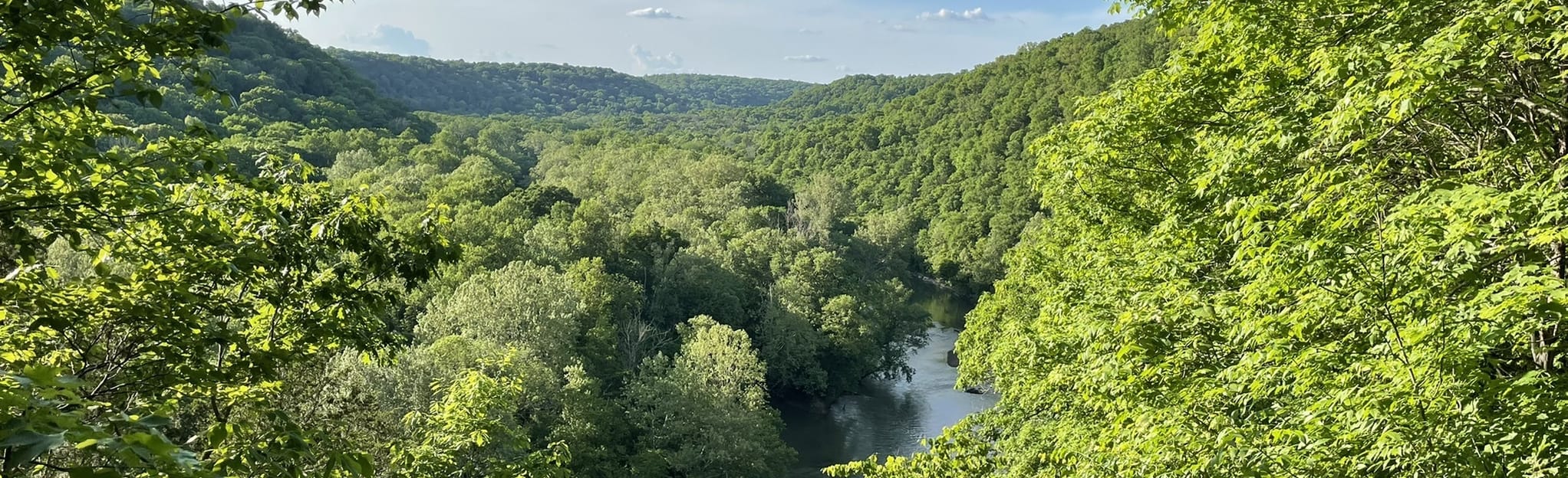 Green River Bluff, Echo River Springs, Sinkhole and Heritage Trail ...