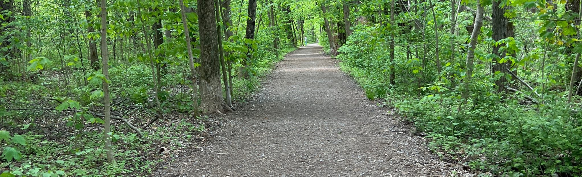 Stonewall, Hawkwood, and Old Field Loop | Map, Guide - New York | AllTrails