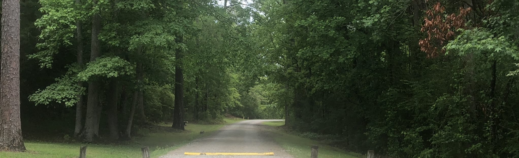 Hubert Trail, North Carolina - 92 Reviews, Map | AllTrails