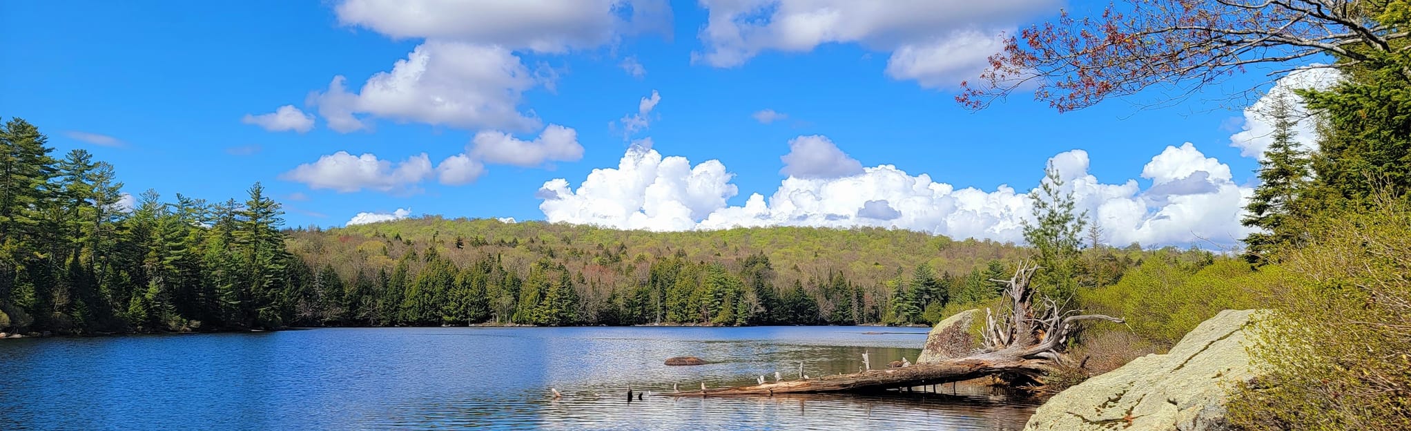 South Pond Paddle Route, New York - 3 Reviews, Map | AllTrails