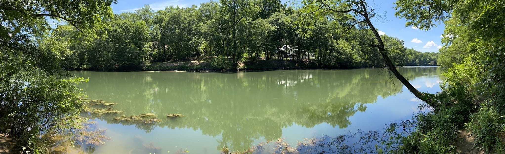 Jones Bridge Trail - Georgia | AllTrails