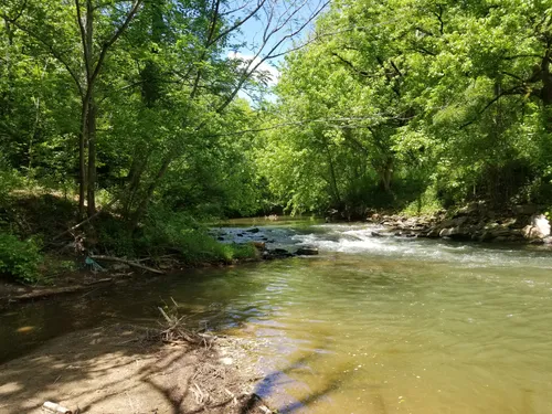 Best River Trails in Ball Ground | AllTrails
