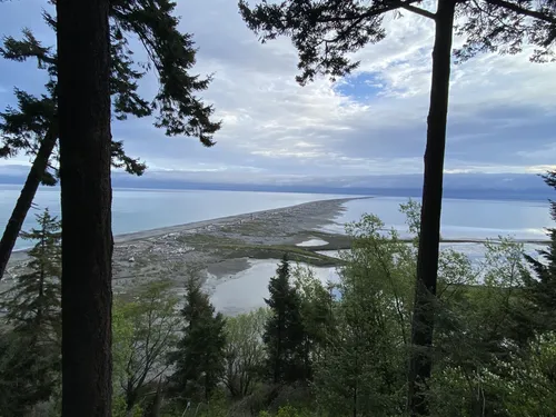 10 Best Trails and Hikes in Sequim | AllTrails