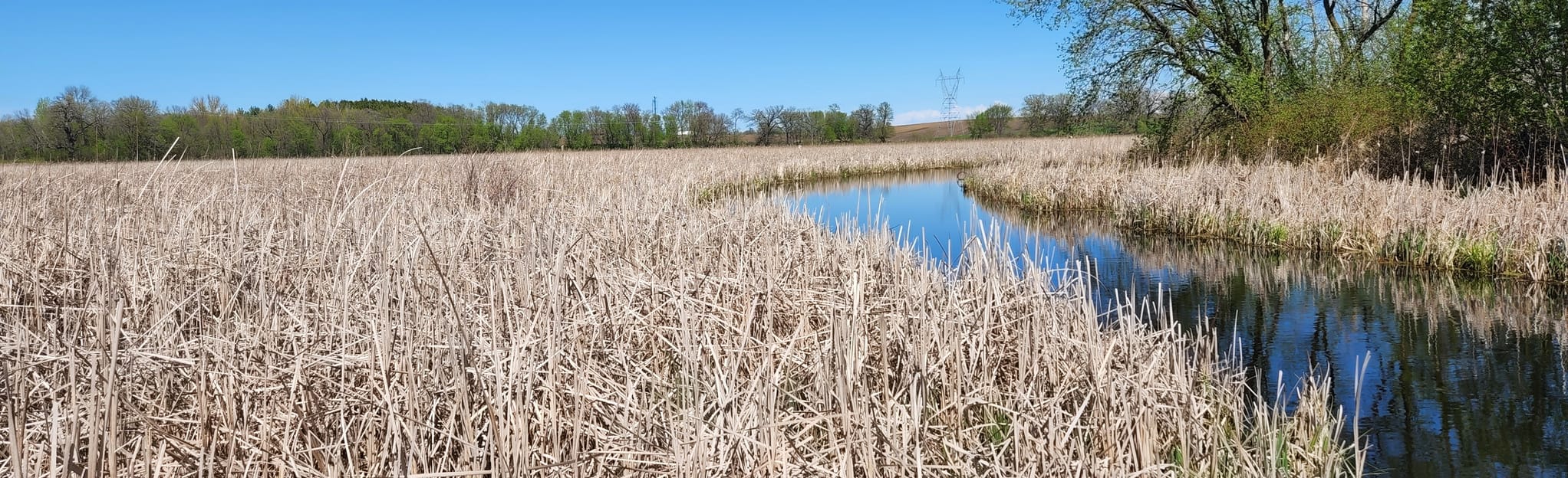 Baylor Regional Park Loop: 40 Reviews, Map - Minnesota | AllTrails