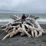 Damon Point State Park Trail, Washington - 433 Reviews, Map | AllTrails