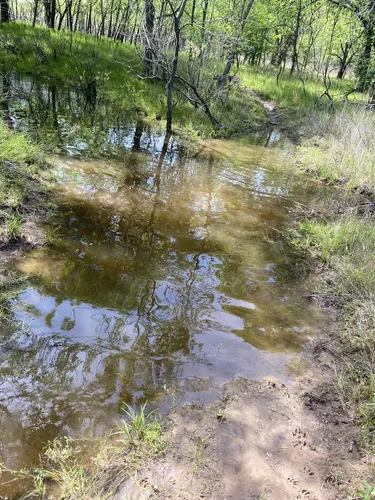 Best Hikes and Trails in Copan | AllTrails