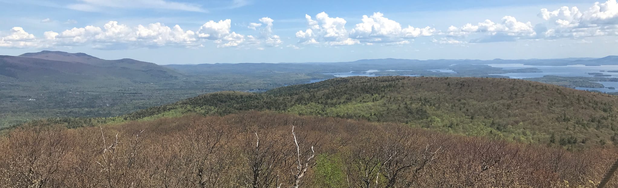 Red Hill Trail, New Hampshire - 369 Reviews, Map | AllTrails