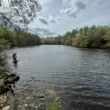 Douglas Forest Wallis Pond Loop Trail, Massachusetts - 688 Reviews, Map ...