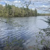 Douglas Forest Wallis Pond Loop Trail, Massachusetts - 688 Reviews, Map ...
