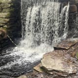 Douglas Forest Wallis Pond Loop Trail, Massachusetts - 688 Reviews, Map ...