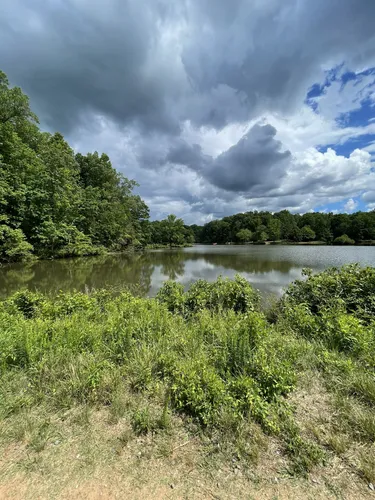 10 Best Hikes and Trails in Anne Springs Close Greenway | AllTrails