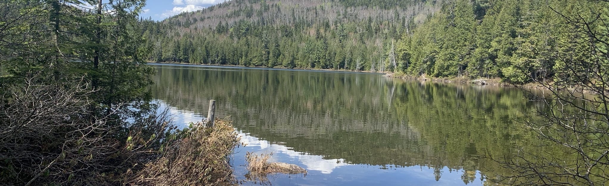 Lac en Coeur Access, Quebec, Canada - 4 Reviews, Map | AllTrails