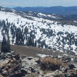 Toiyabe Crest Trail, Nevada - 3 Reviews, Map | AllTrails