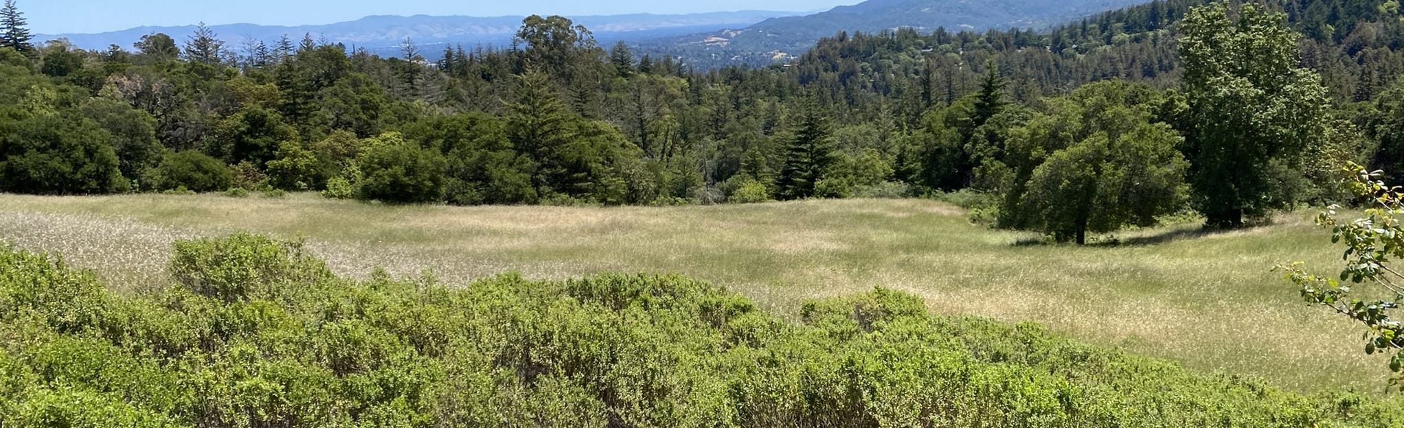 Bear Gulch and Alambique Trail Loop - California | AllTrails
