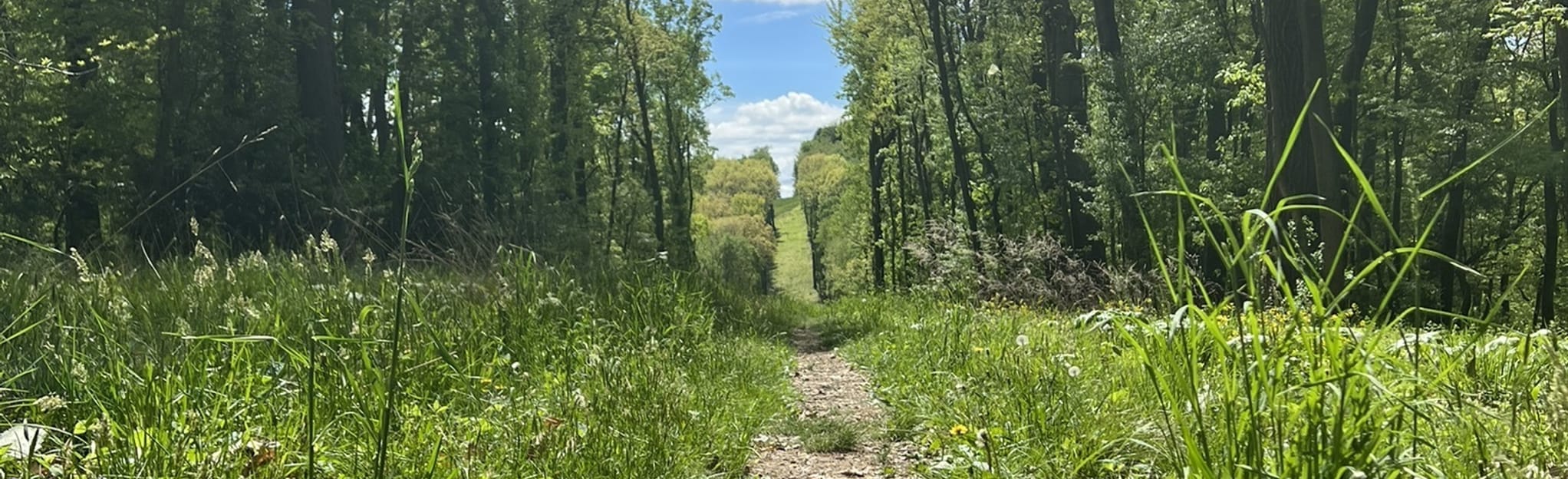 Rachel Carson Trail: William Flinn Highway to Emmerling Park ...