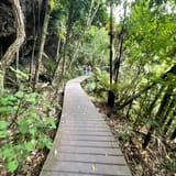 Karamatura Track, Puriri Ridge, and Omanawanui Track, Auckland, New ...