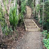 Karamatura Track, Puriri Ridge, and Omanawanui Track, Auckland, New ...