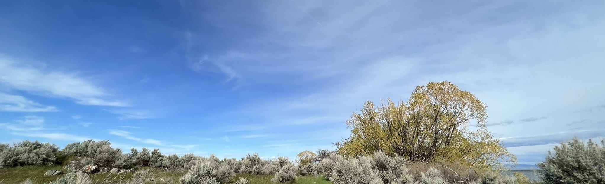 Lake Walcott Trail, Idaho - 17 Reviews, Map | AllTrails