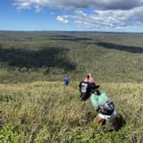 Mount Fox, Queensland, Australia - 13 Reviews, Map | AllTrails