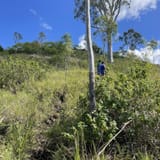 Mount Fox, Queensland, Australia - 13 Reviews, Map | AllTrails