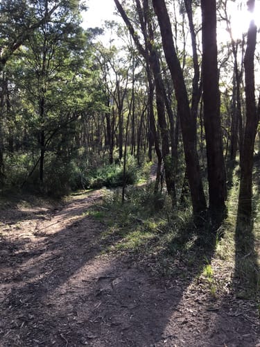 2023 Best Trails in Pakenham Upper | AllTrails