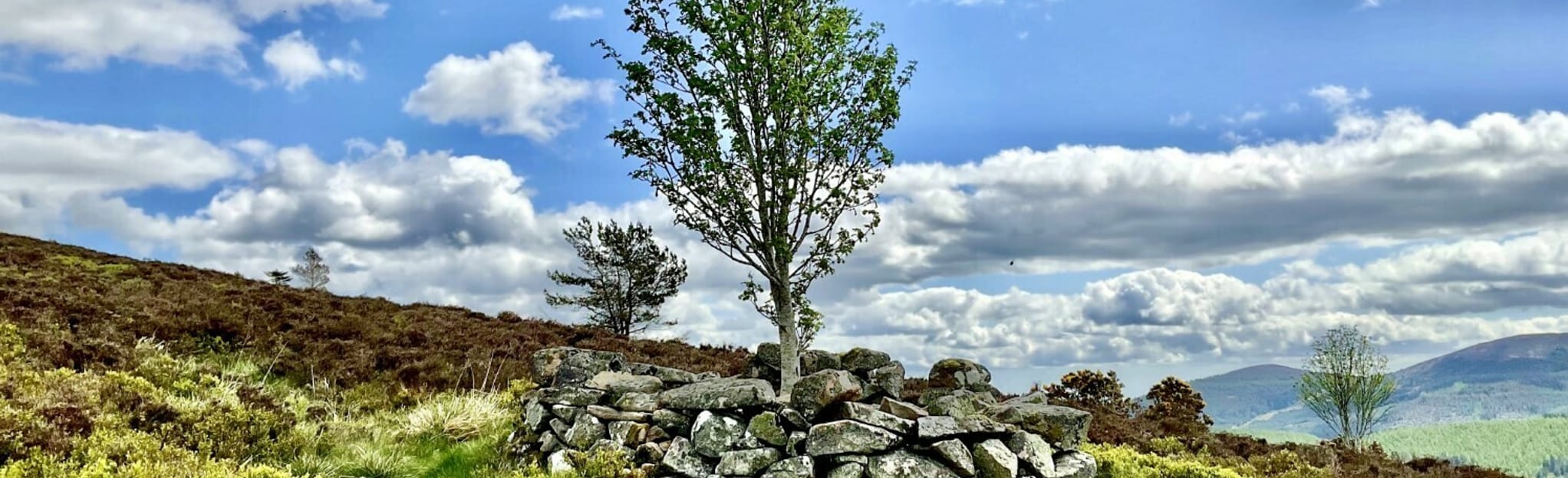 Keig and Turf Hill Circular, Aberdeenshire, Scotland - 4 Reviews, Map ...