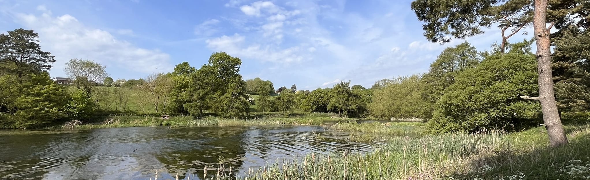 Thornton Reservoir and Bagworth Heath Woods Circular, Leicestershire ...