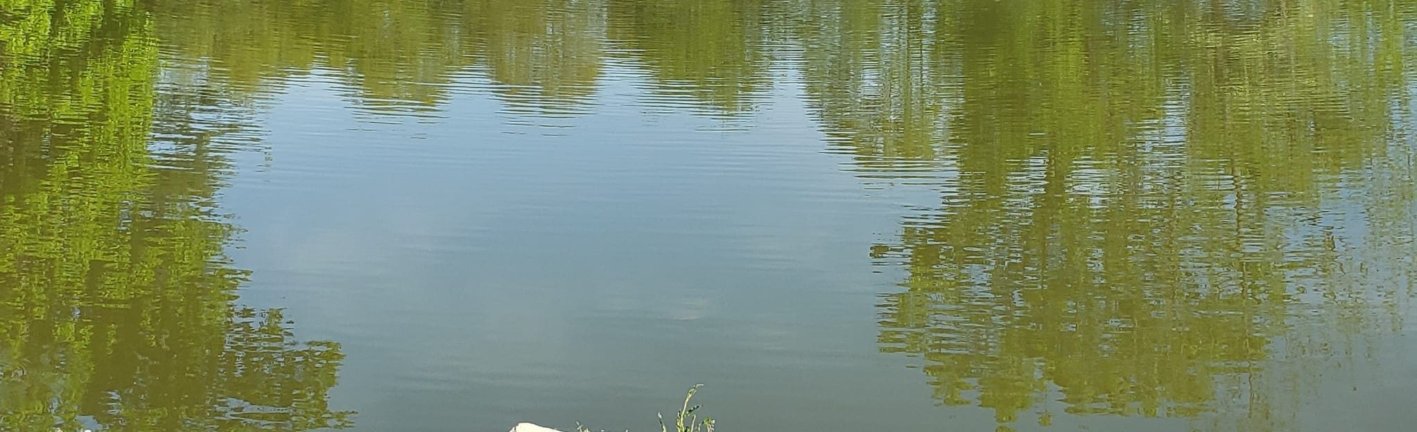 Symmes Park East Loop: 119 Reviews, Map - Ohio | AllTrails