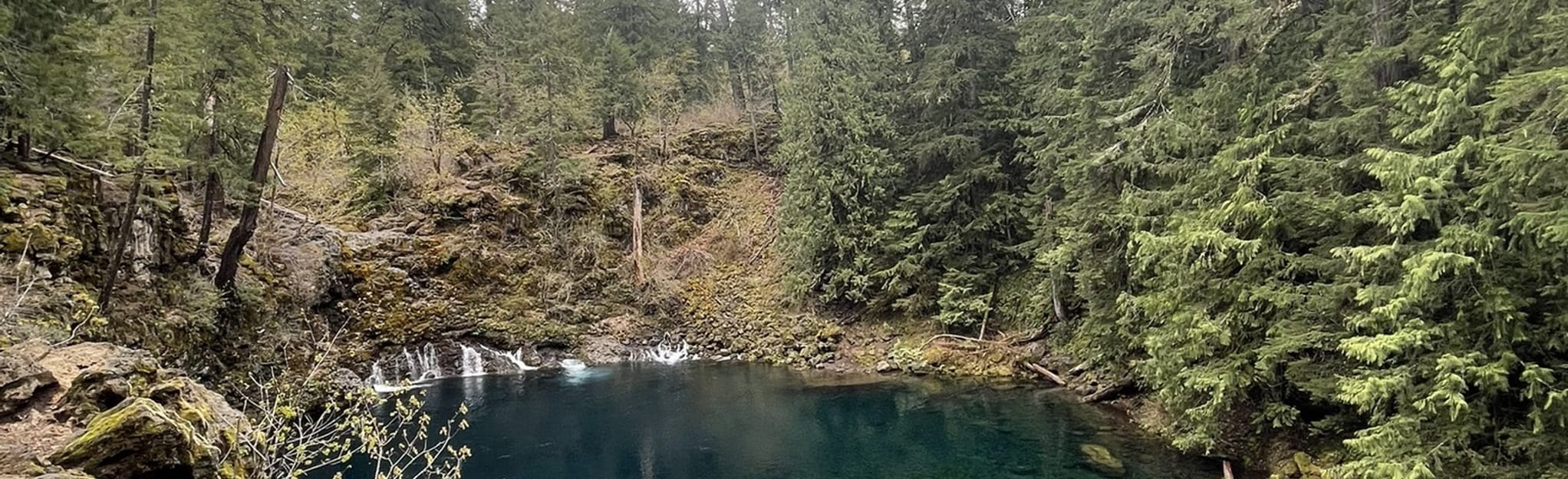 Sahalie Falls, Koosah, and Tamolich Falls via McKenzie River Trail: 395 ...