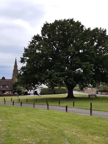 2023 Best 10 Trails, Walks, and Paths in Worcester | AllTrails