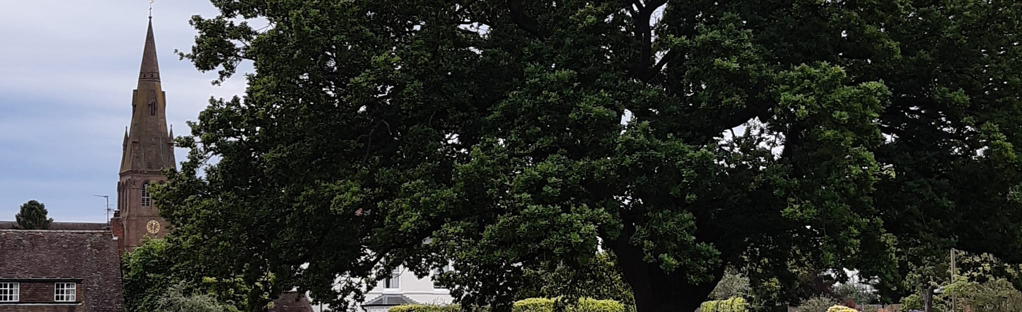 Hallow and River Severn Circular: 24 Reviews, Map - Worcestershire ...