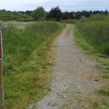 Dungeness Recreation Trail, Washington - 78 Reviews, Map | AllTrails