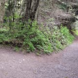 Dungeness Recreation Trail, Washington - 78 Reviews, Map | AllTrails