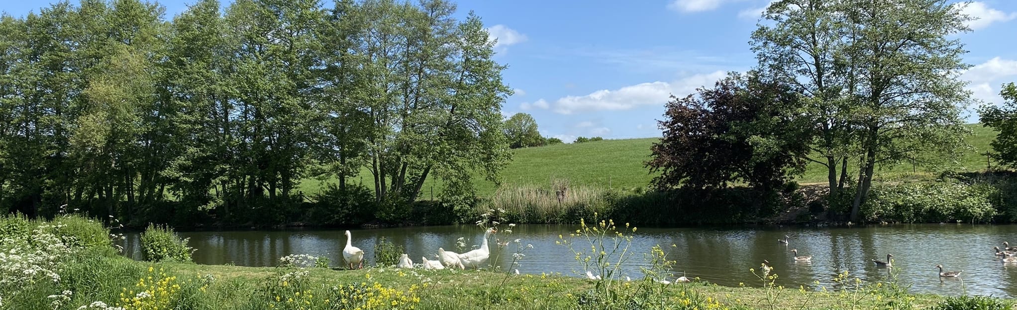 Terling Circular, Essex, England - 42 Reviews, Map | AllTrails